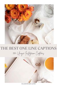 350+ Unique One Line Captions for Instagram!