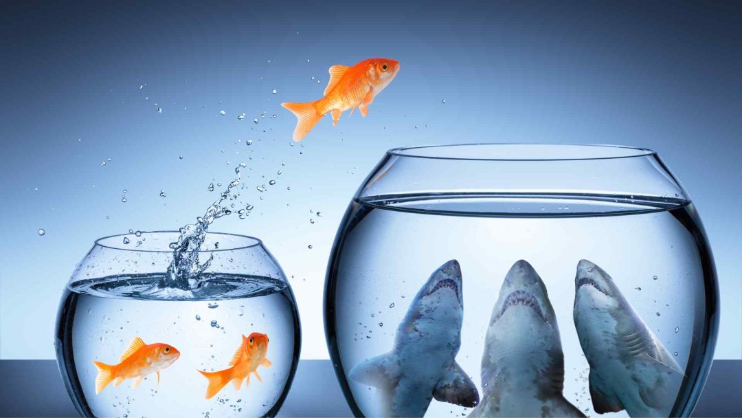 Taking Risks in Life: Embracing Uncertainty for Growth