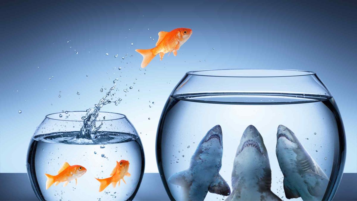 Taking Risks in Life: Embracing Uncertainty for Growth