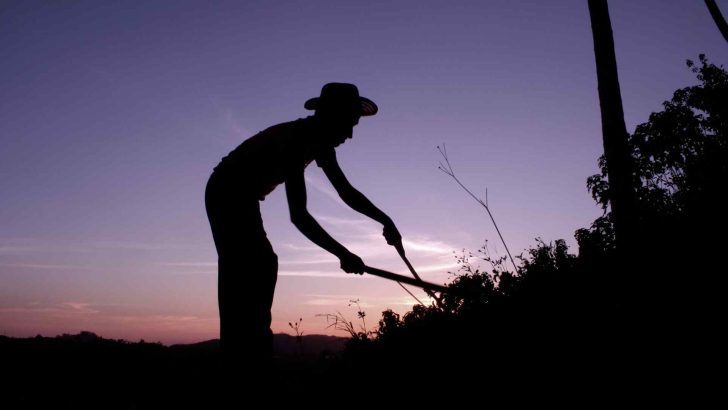 10 Reasons Why Hard Work Is Key For Success!