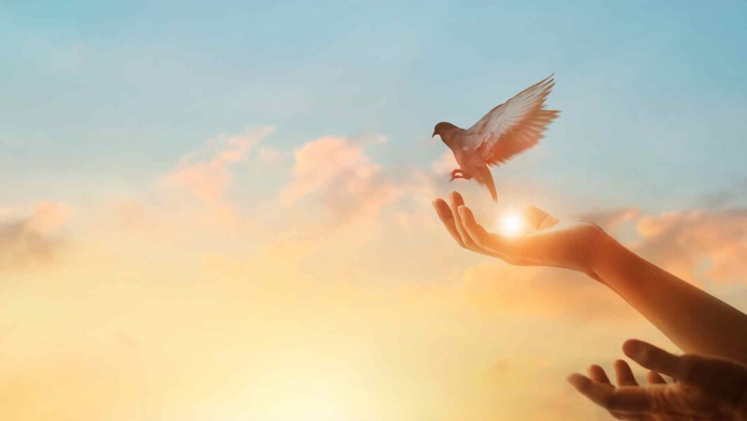 Are Souls Real? The Enigma of the Soul